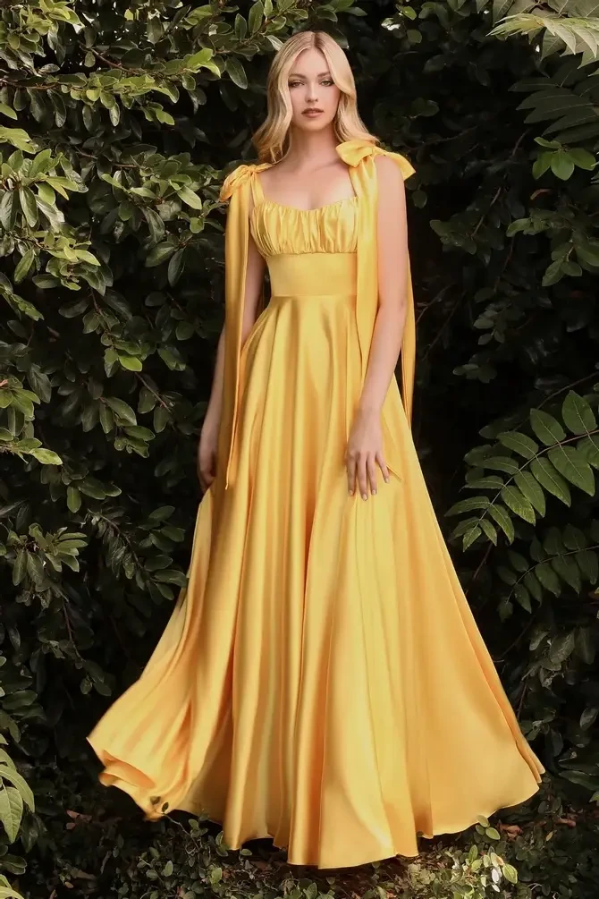 Prom Dresses for Every Budget: Look Stunning Without Overspending